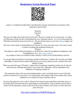 Respiratory System Essay | PDF