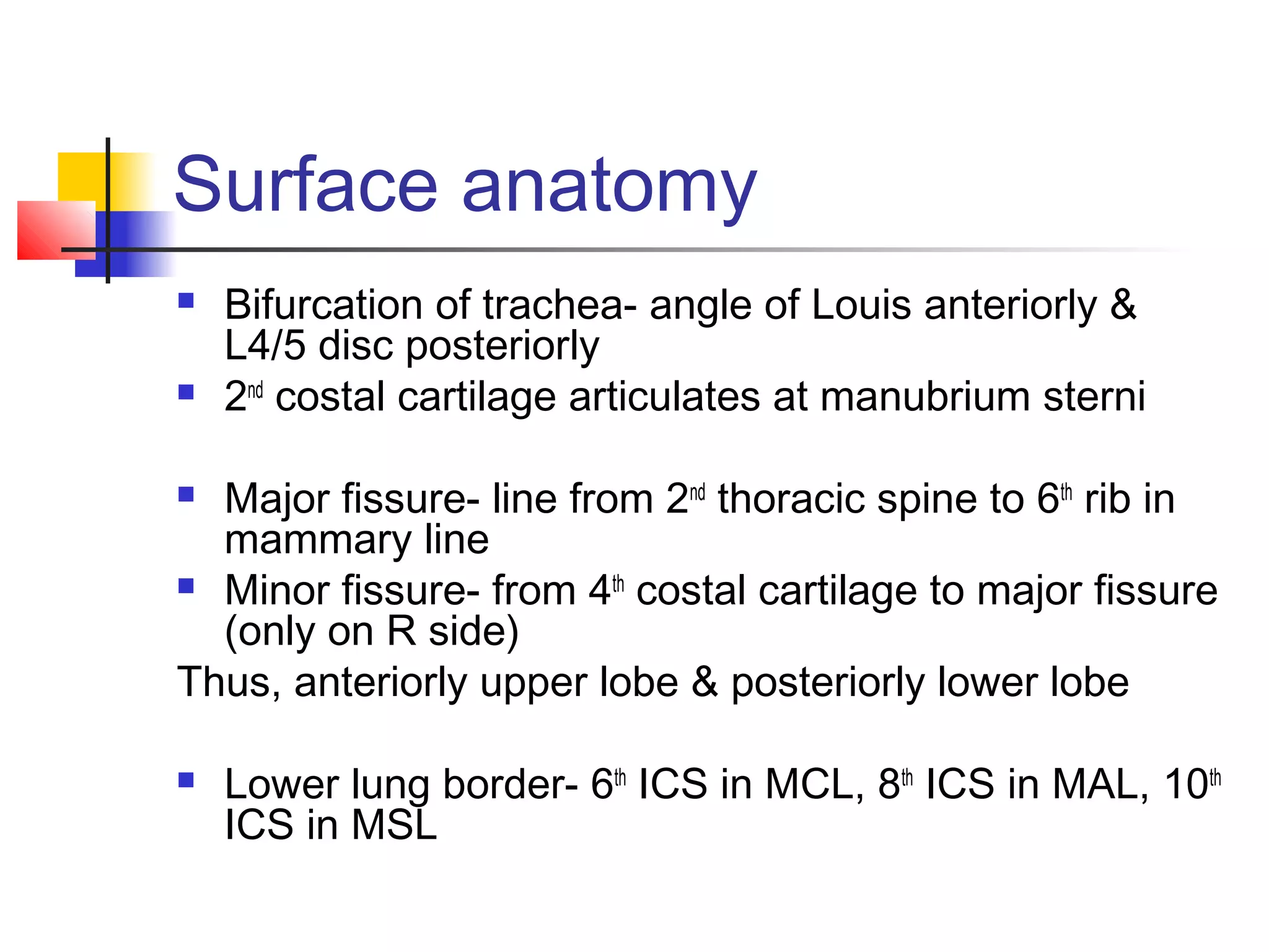 Respiratory system exam | PPT