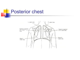 Respiratory system exam | PPT