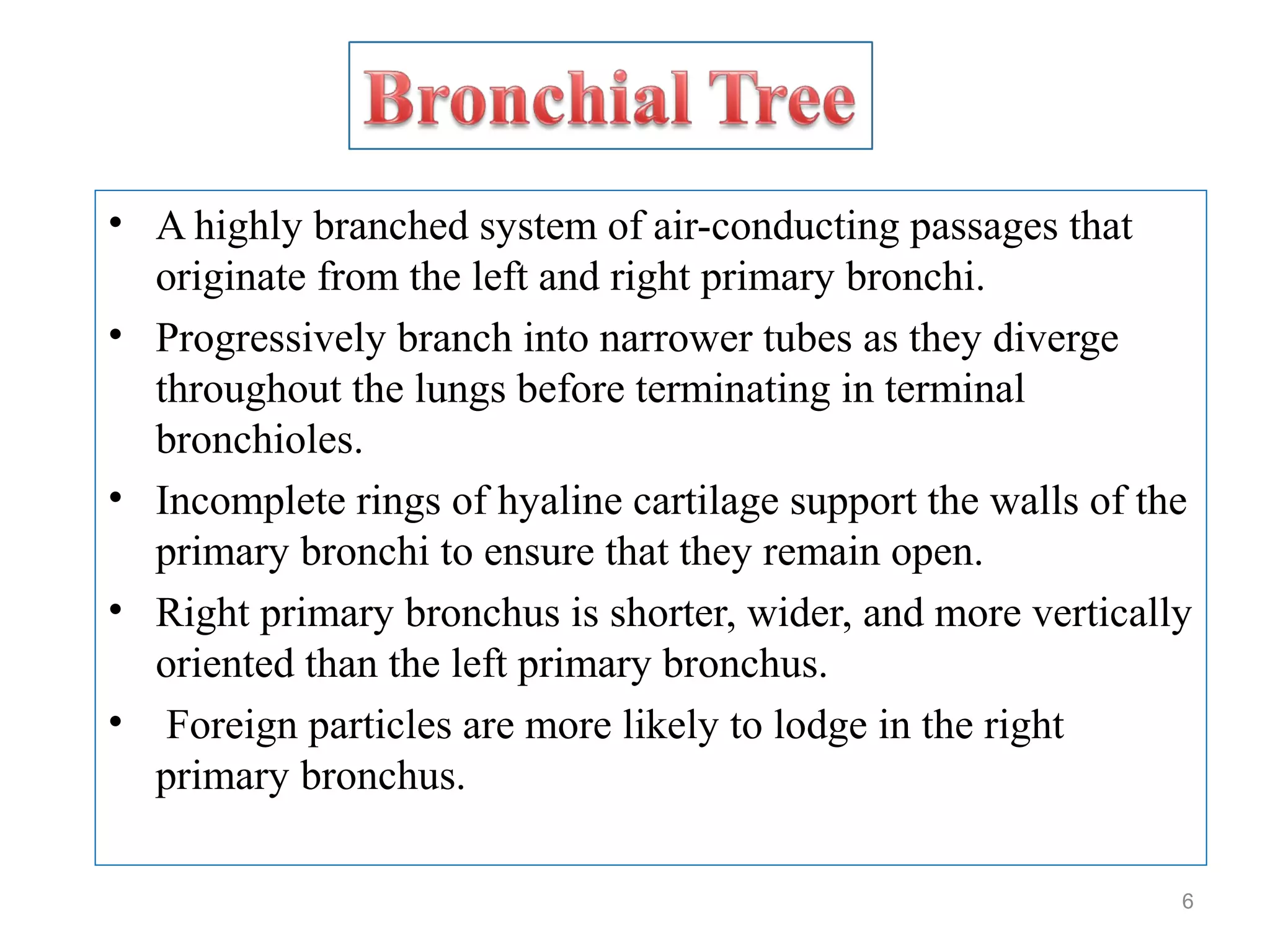Respiratory system examination | PPT