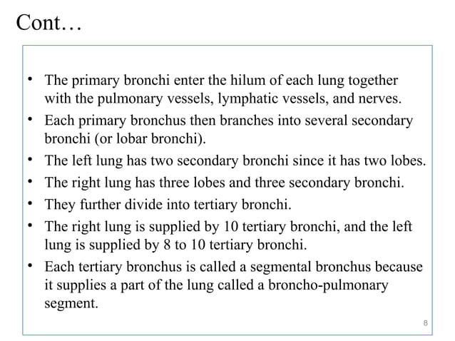 Respiratory system examination | PPT