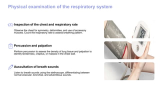 respiratory system examination healthcare | PPTX