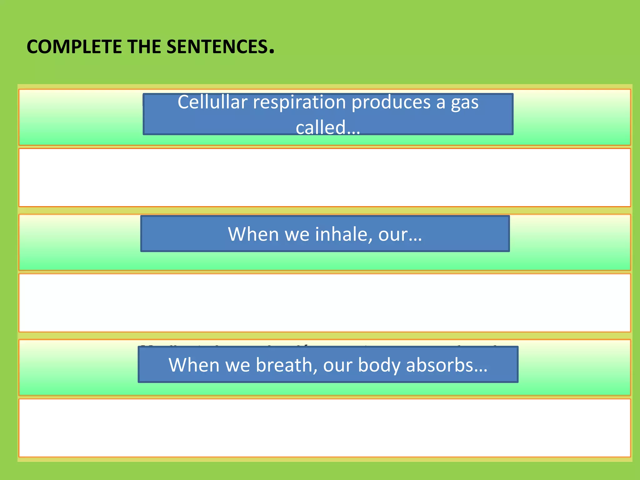 Respiratory system exercises | PPT