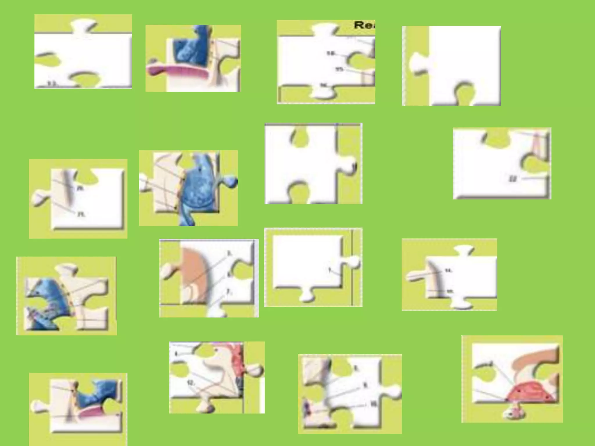 Respiratory system exercises | PPT