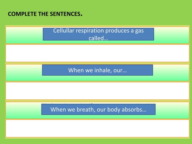 Respiratory system exercises | PPT