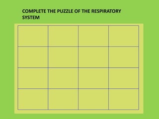 Respiratory system exercises | PPT