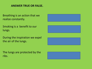 Respiratory system exercises | PPTX