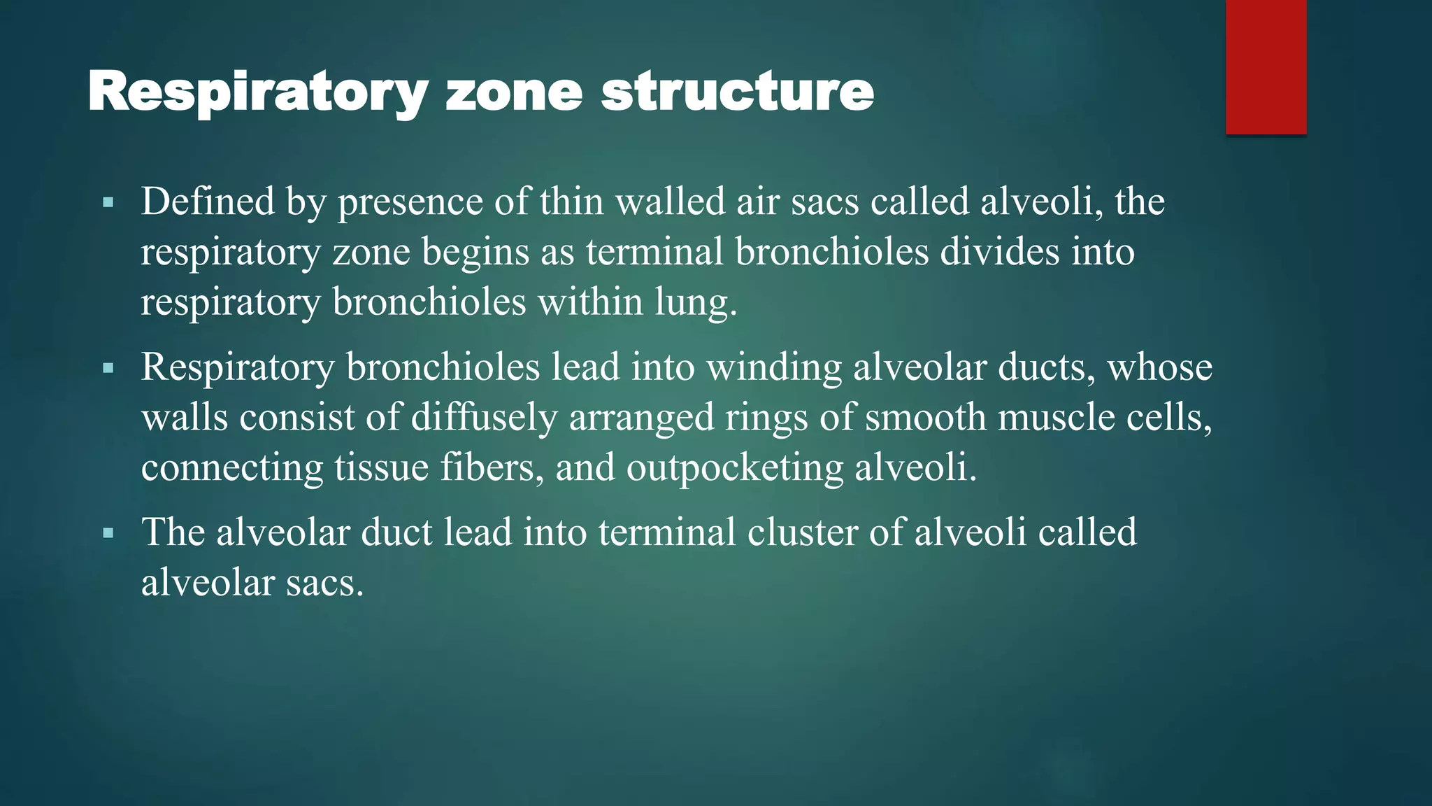 Respiratory system final | PPTX