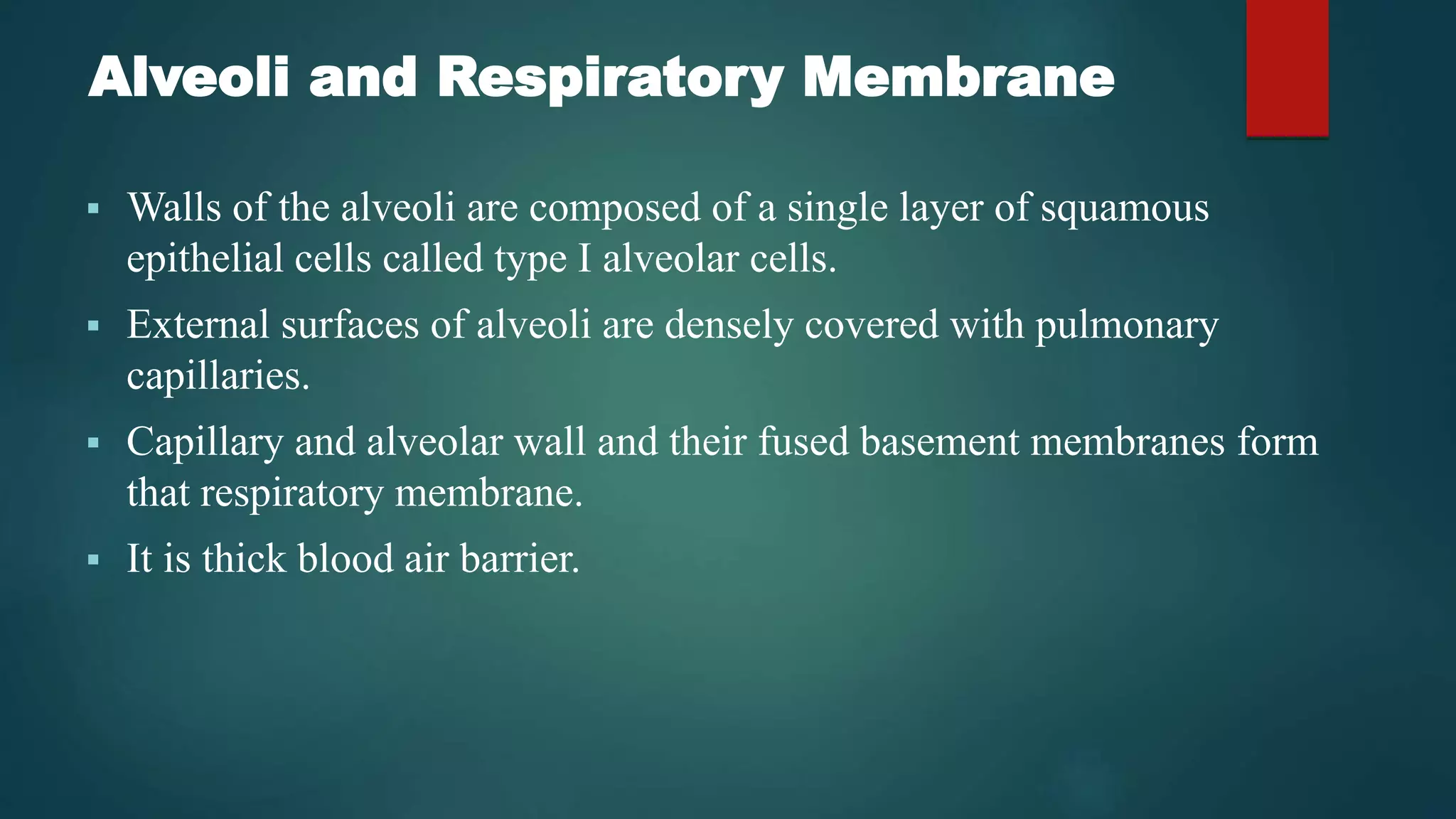 Respiratory system final | PPTX