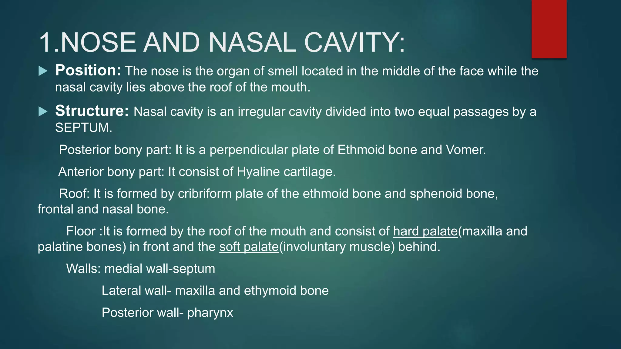 Respiratory system final | PPTX