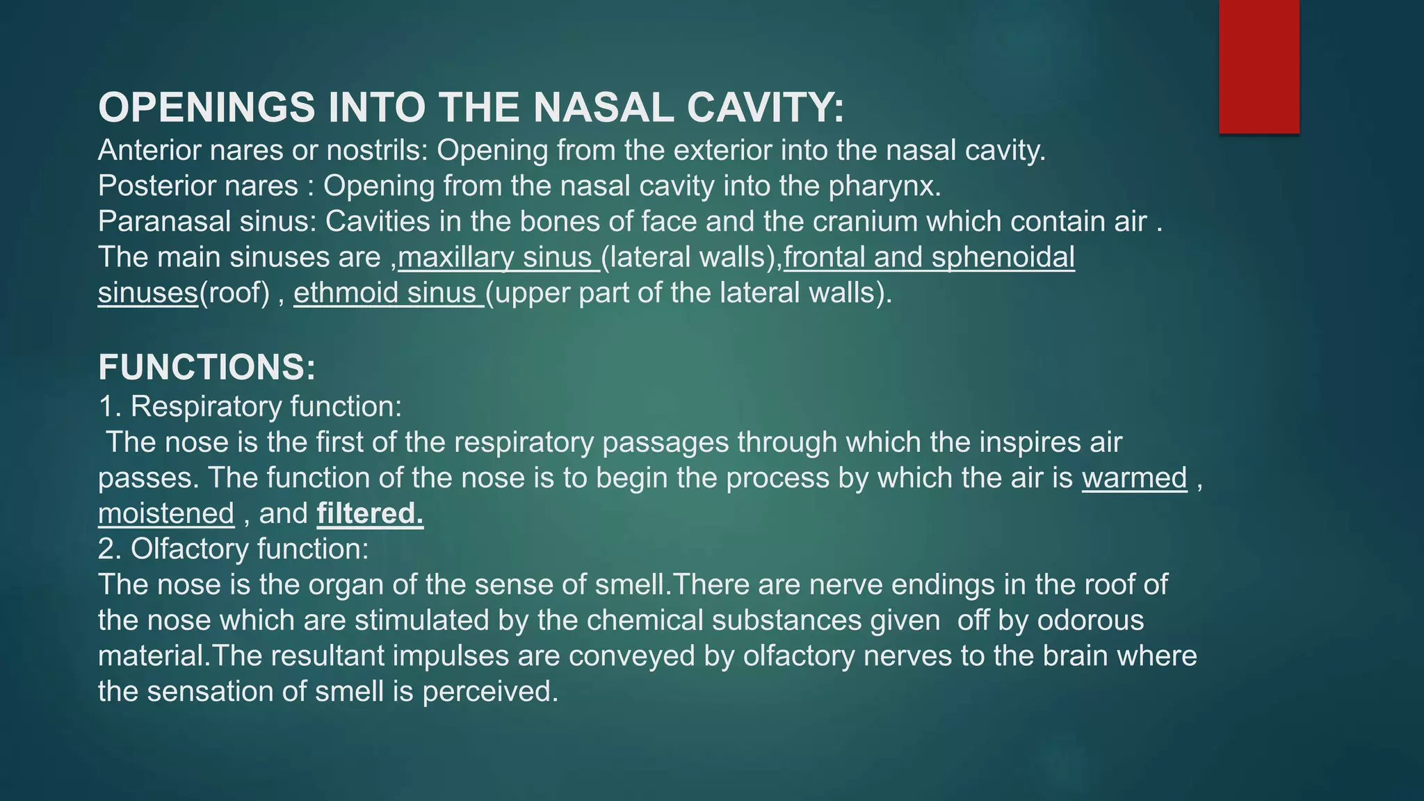 Respiratory system final | PPTX
