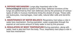 Respiratory system final [Autosaved] [Autosaved].pptx