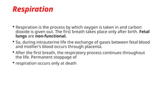 Respiratory system final [Autosaved] [Autosaved].pptx
