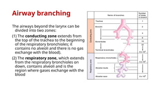 Respiratory system final [Autosaved] [Autosaved].pptx