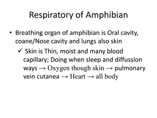 Respiratory system | PPTX