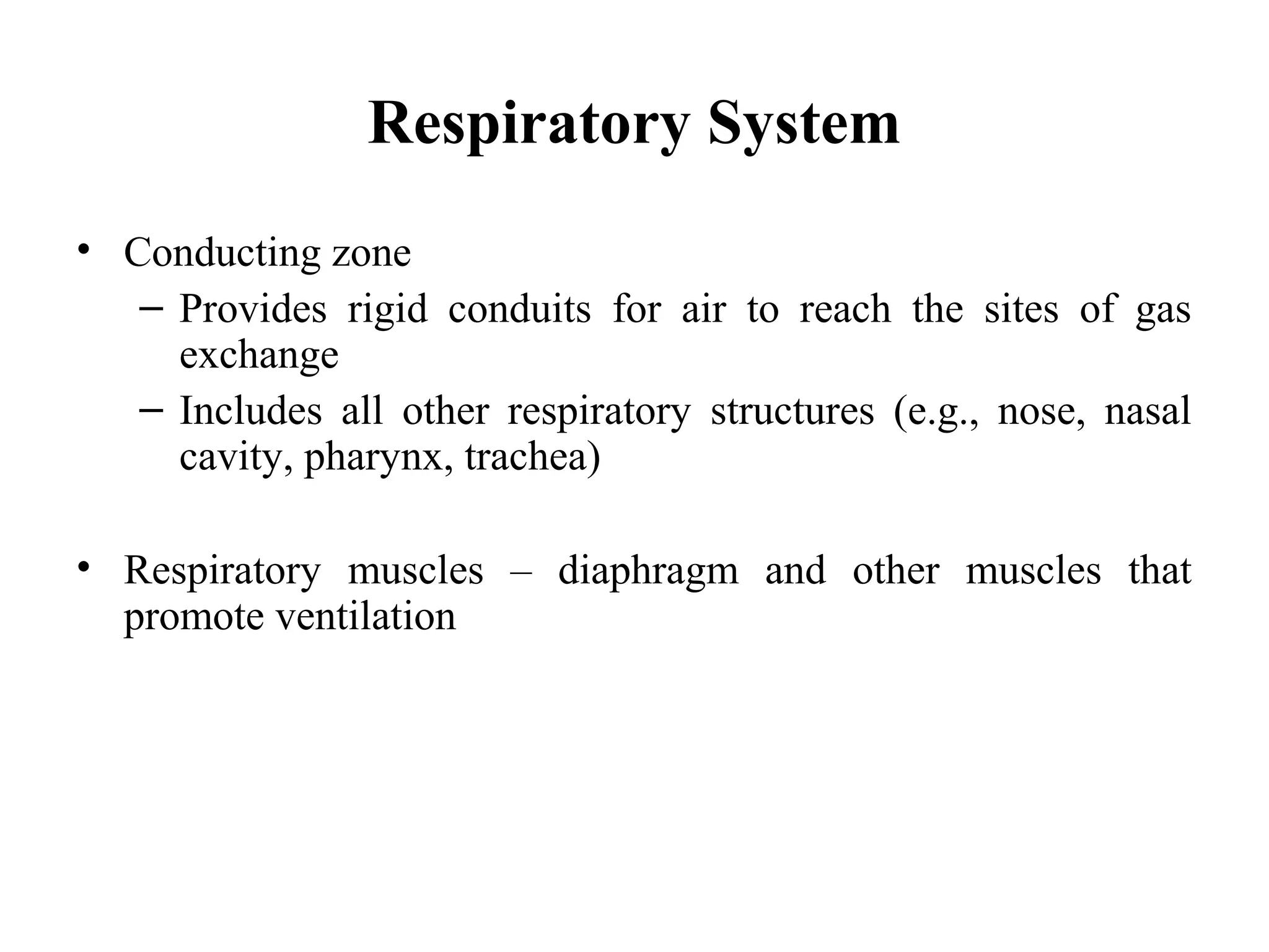 Respiratory system full | PPT