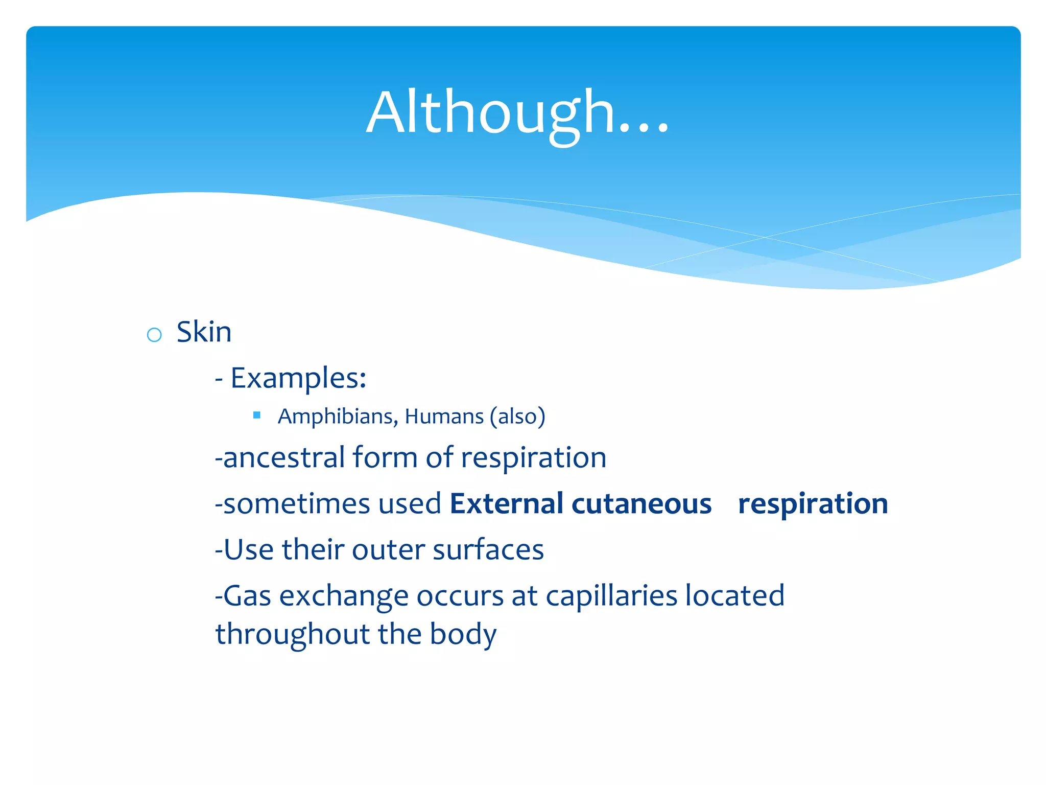 Respiratory system | PPTX