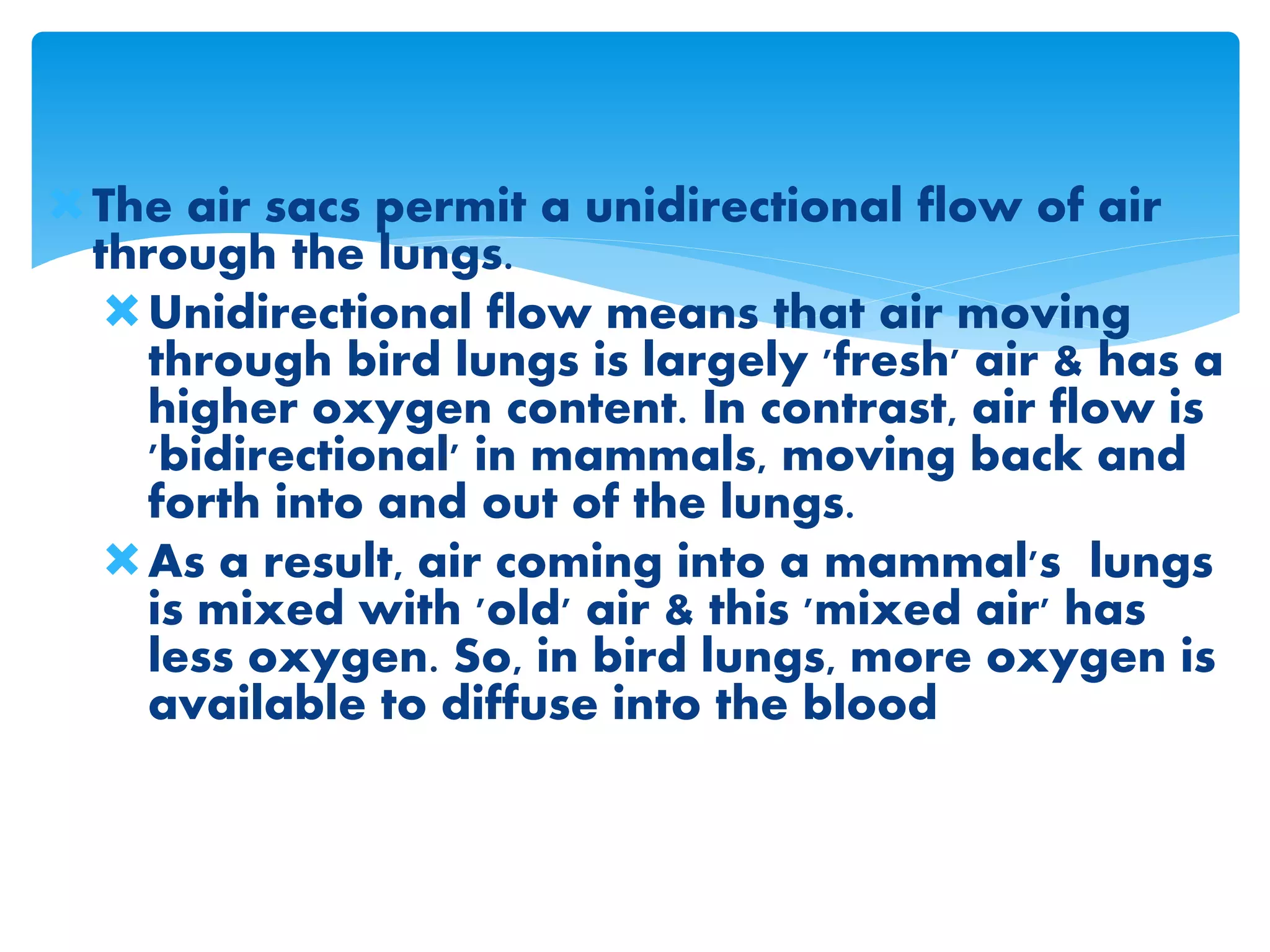 Respiratory system | PPTX