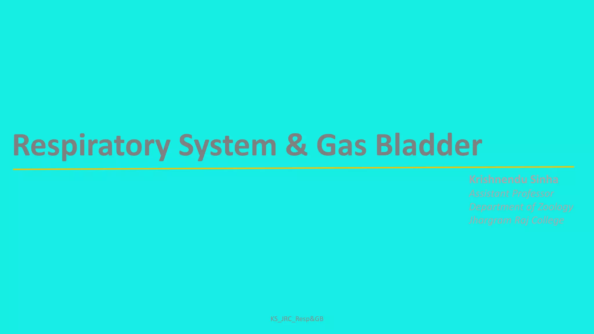 Respiratory system & gas bladder | PPTX