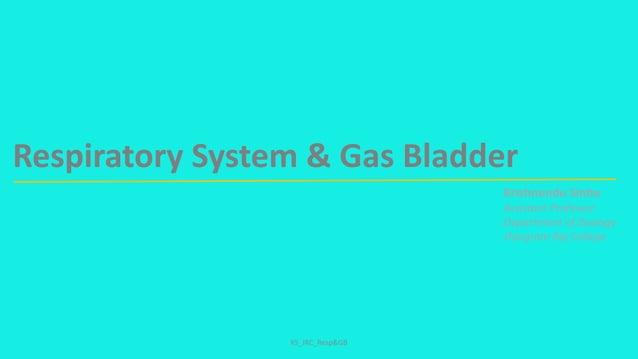 Respiratory system & gas bladder | PPT