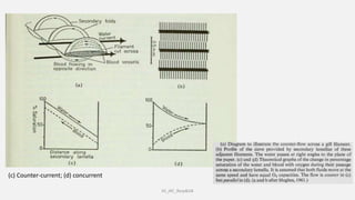 Respiratory system & gas bladder | PPTX | Lung and Respiratory Health ...
