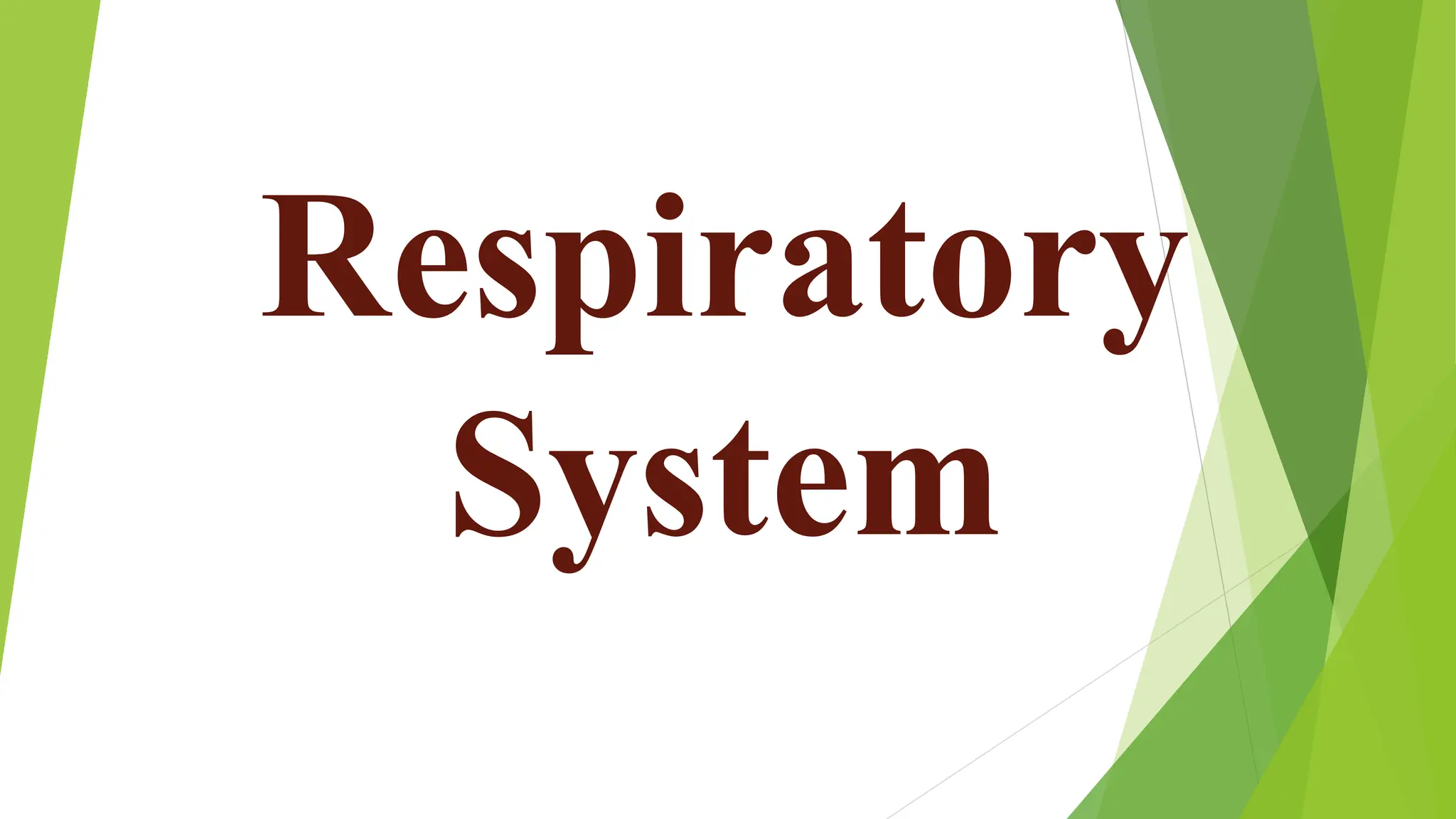 Respiratory System GRADE 6.pptx