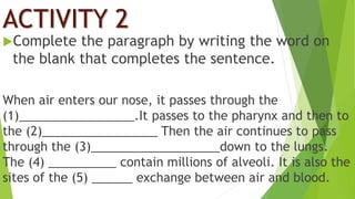 Respiratory System GRADE 6.pptx