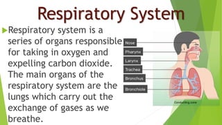 Respiratory System GRADE 6.pptx