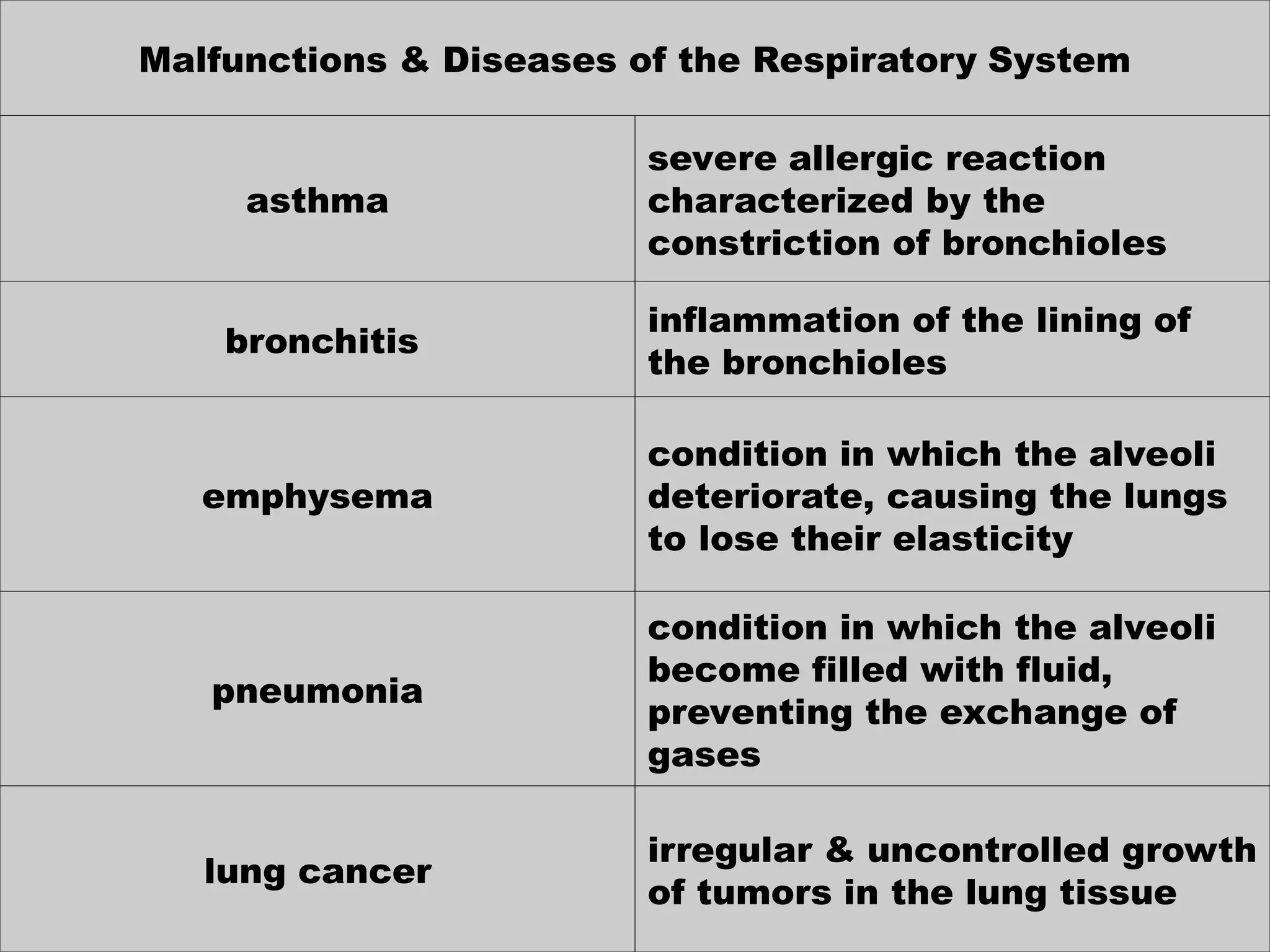 Respiratory System Grade 9 first quarter.ppt
