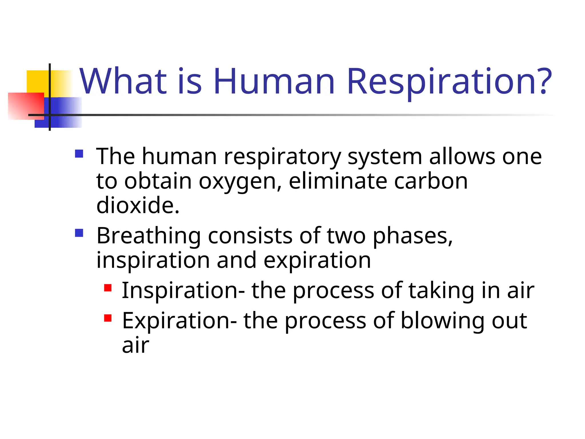 Respiratory System Grade 9 first quarter.ppt