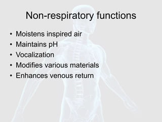 Physiology of the respiratory system | PPTX