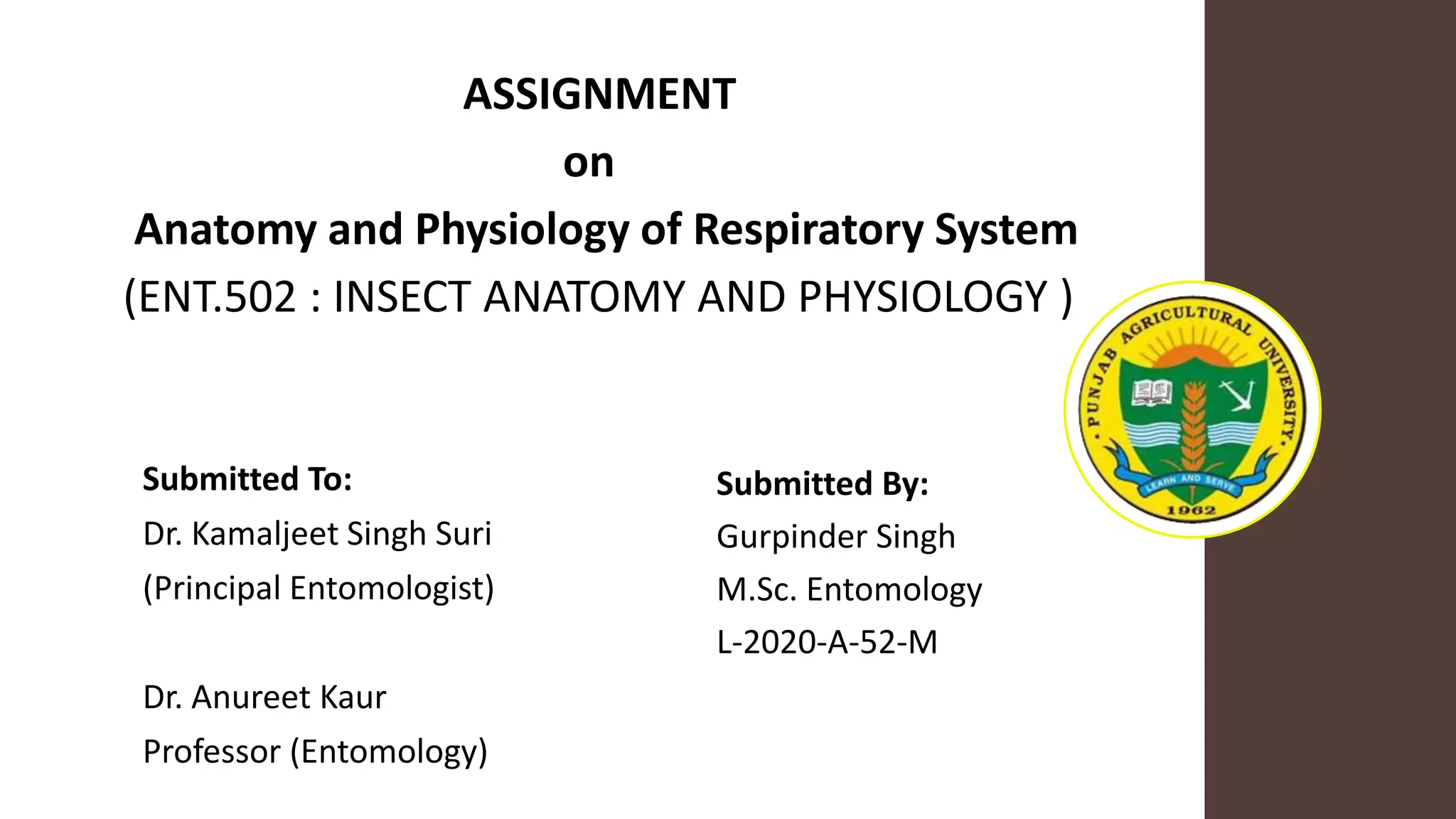 Respiratory system of Insects | PPTX