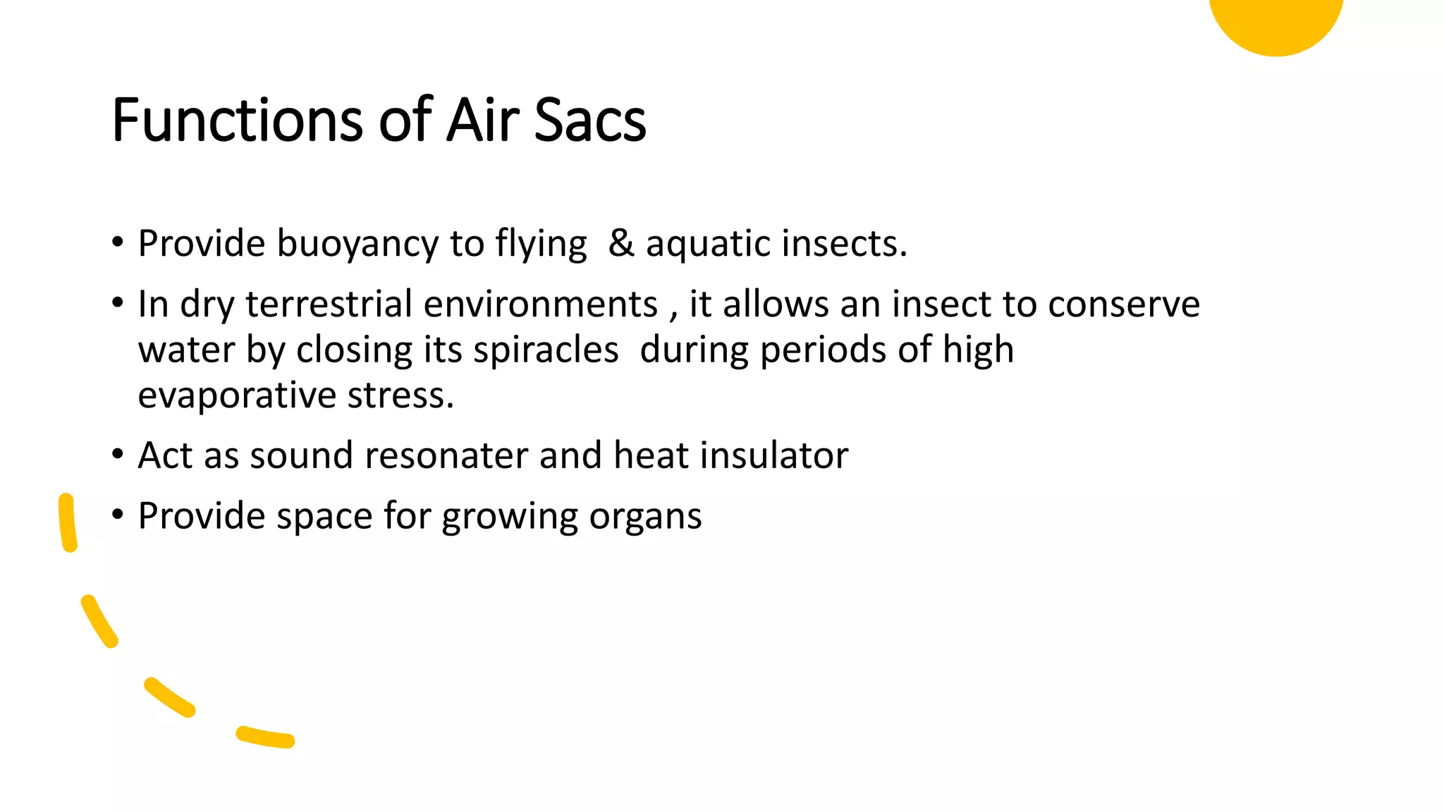 Respiratory system of Insects | PPTX