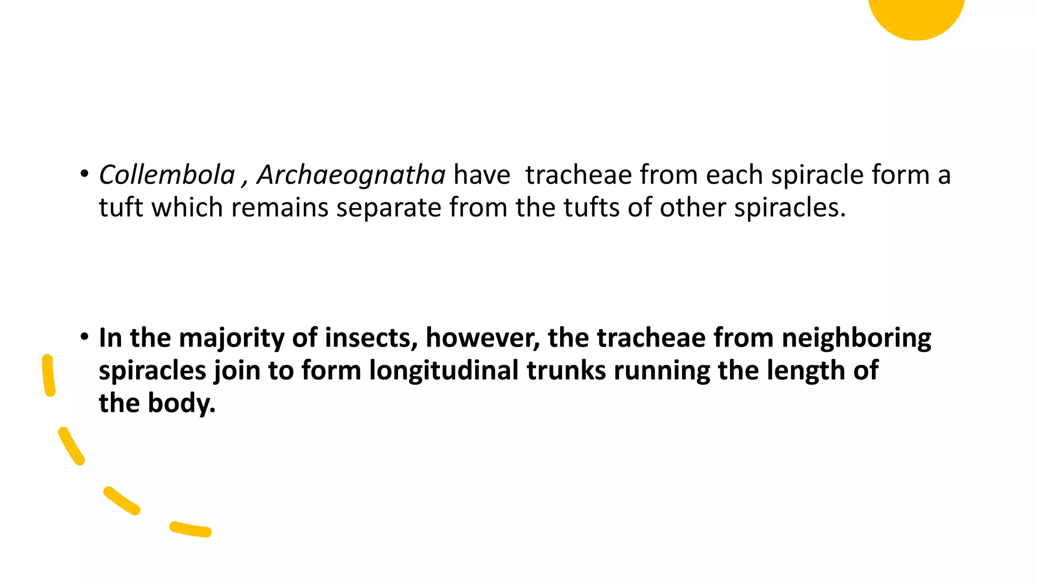 Respiratory system of Insects | PPTX