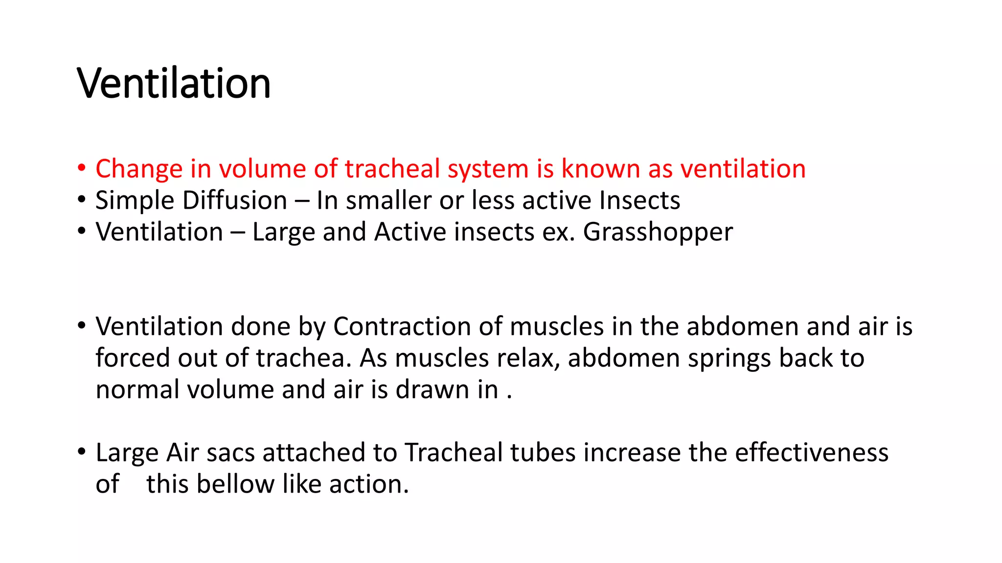 Respiratory system of Insects | PPTX