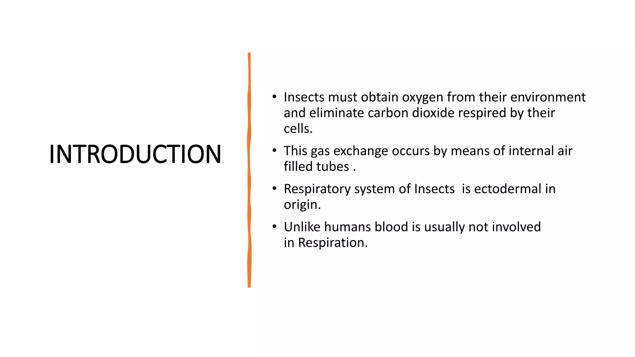 Respiratory system of Insects | PPTX