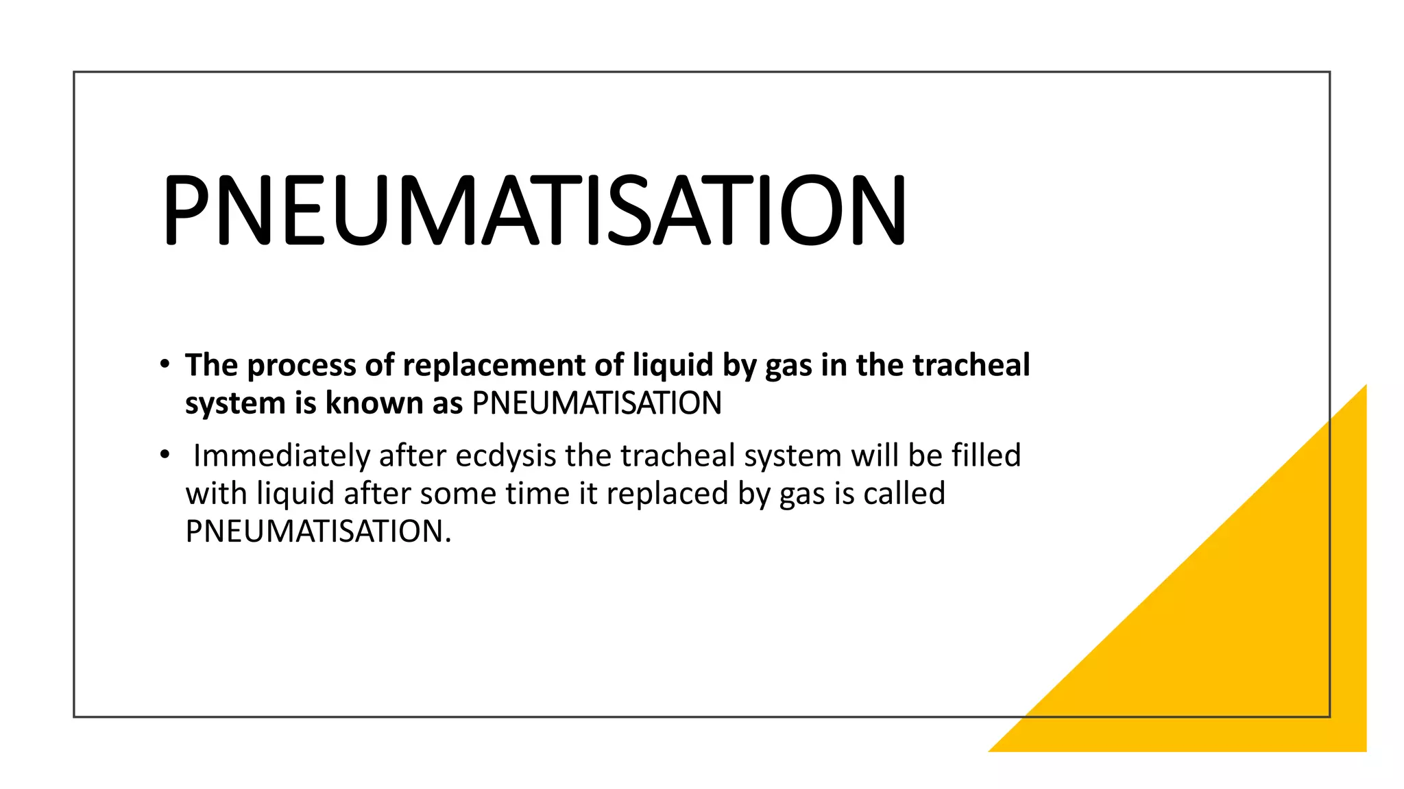 Respiratory system of Insects | PPTX