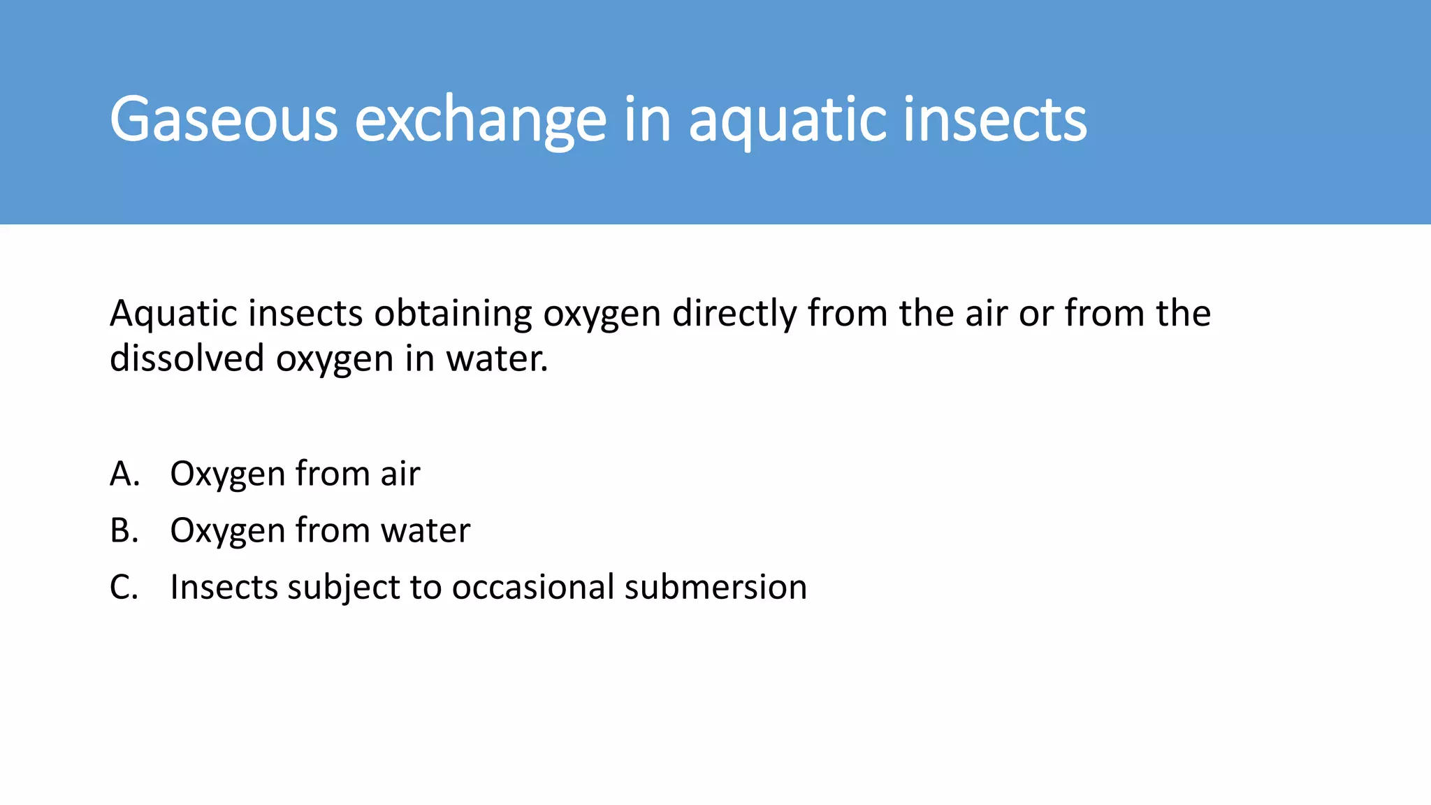Respiratory system of Insects | PPTX