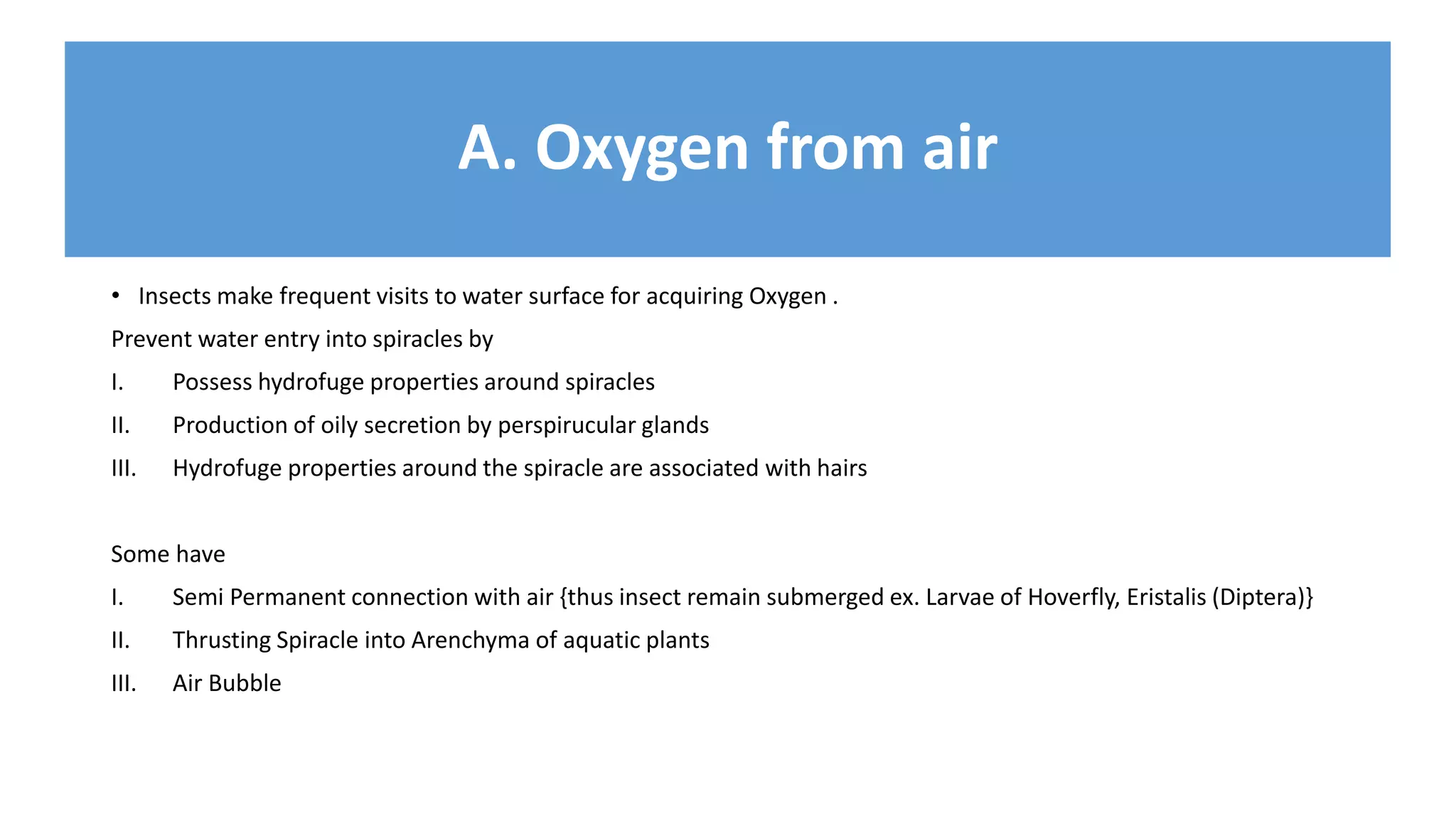 Respiratory system of Insects | PPTX