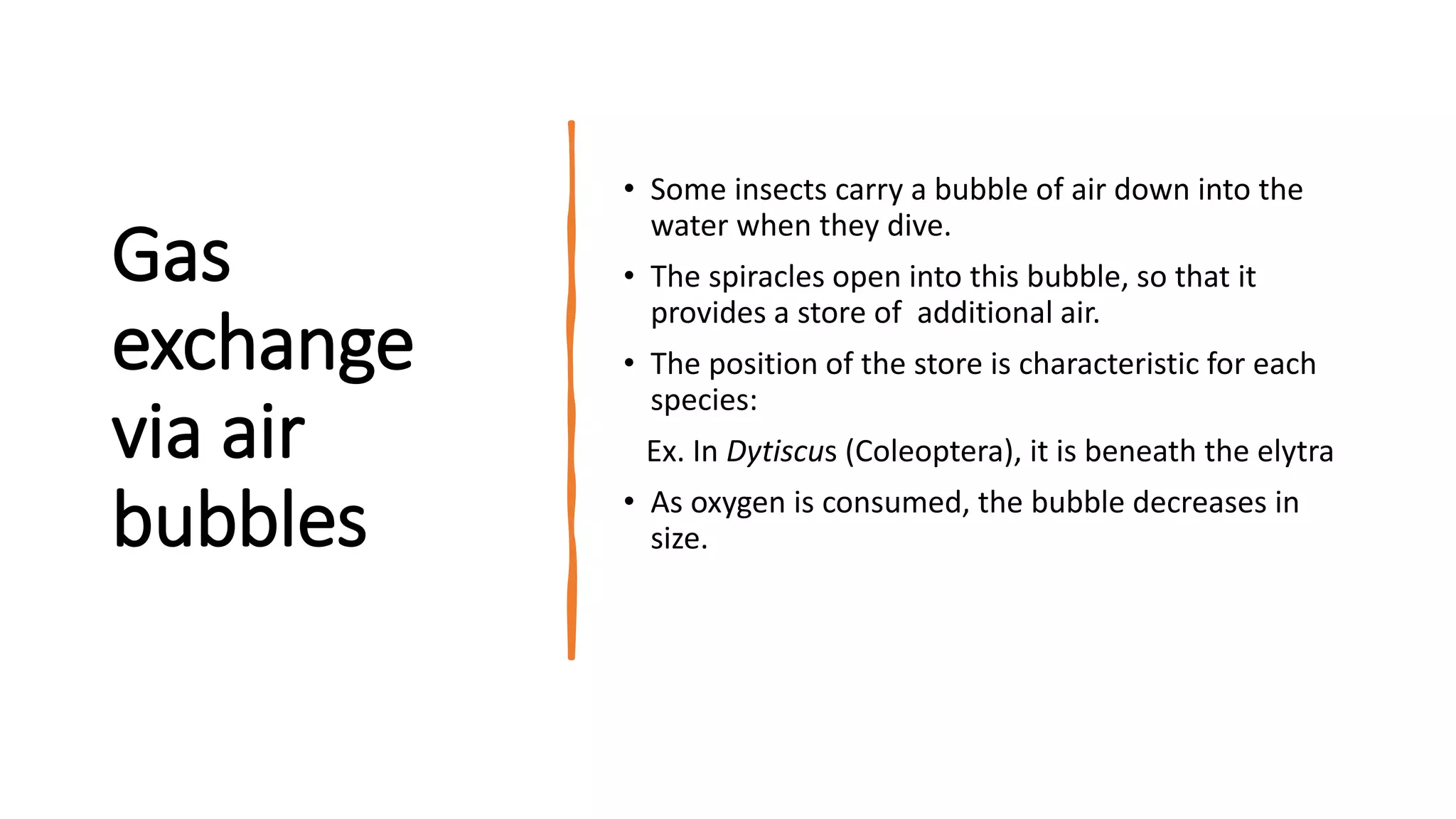 Respiratory system of Insects | PPTX