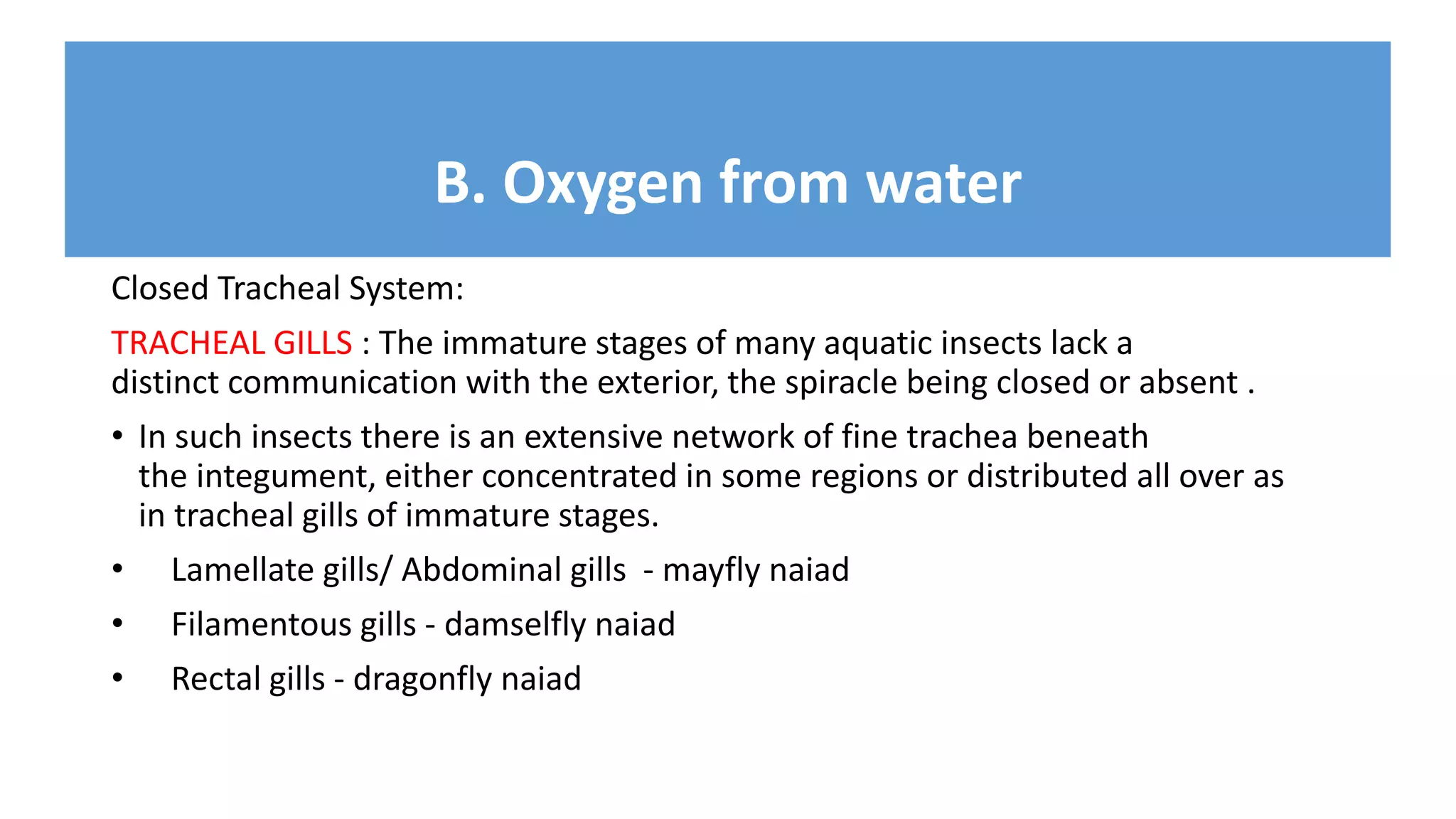 Respiratory system of Insects | PPTX