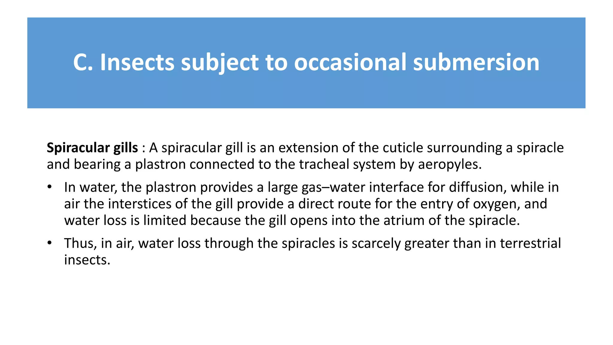 Respiratory system of Insects | PPTX
