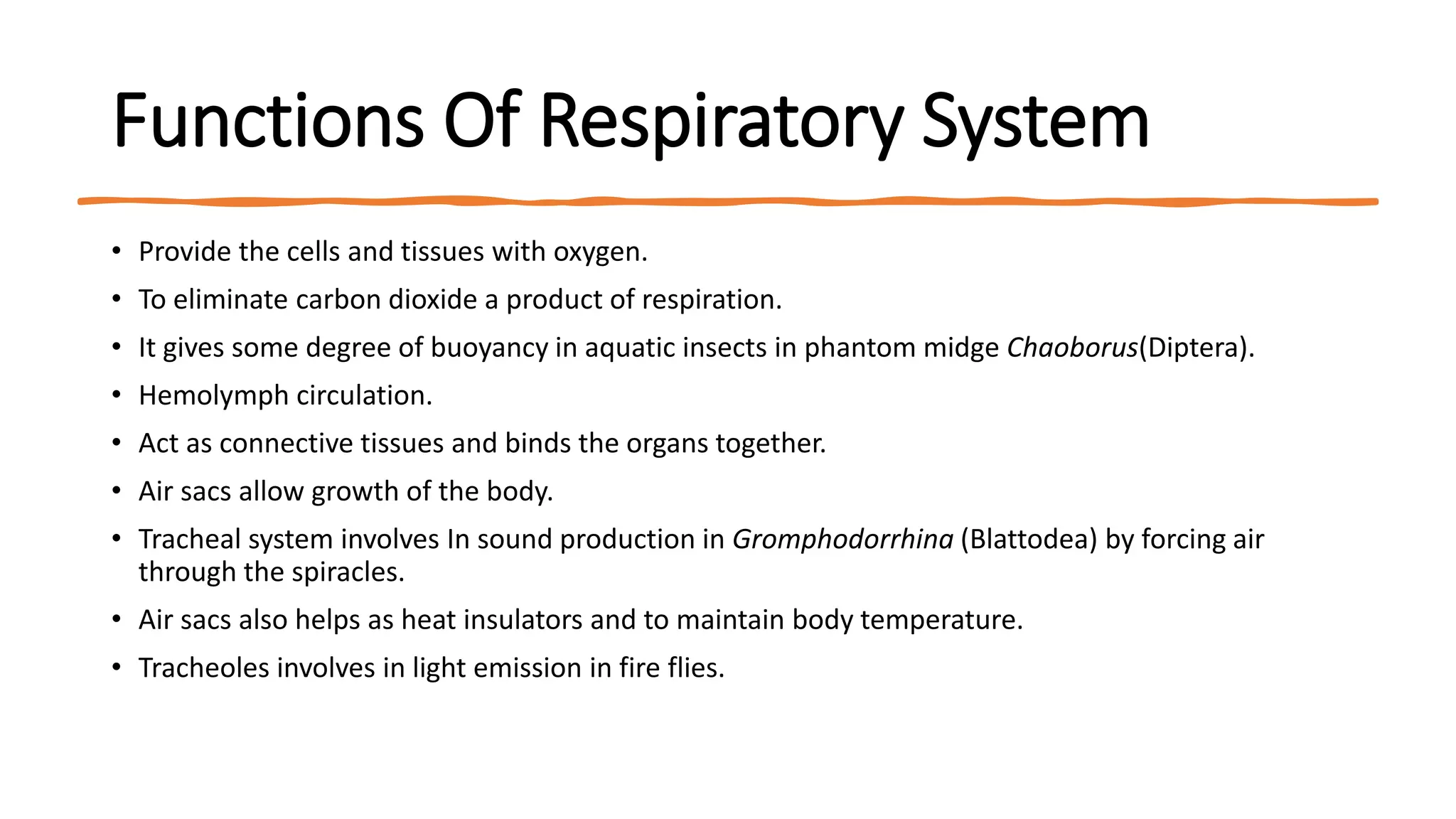 Respiratory system of Insects | PPTX