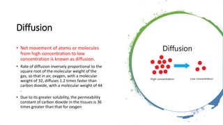 Respiratory system of Insects | PPTX