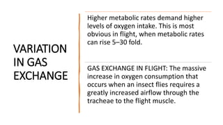 Respiratory system of Insects | PPTX