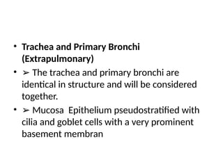 RESPIRATORY SYSTEM HISTOLOGY introduction (2).pptx