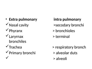 RESPIRATORY SYSTEM HISTOLOGY introduction (2).pptx