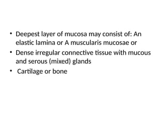 RESPIRATORY SYSTEM HISTOLOGY introduction (2).pptx