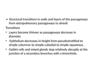 RESPIRATORY SYSTEM HISTOLOGY introduction (2).pptx