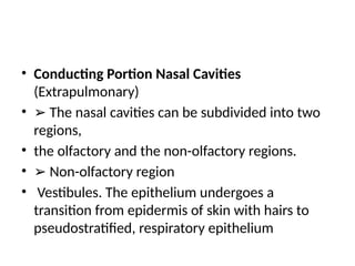 RESPIRATORY SYSTEM HISTOLOGY introduction (2).pptx